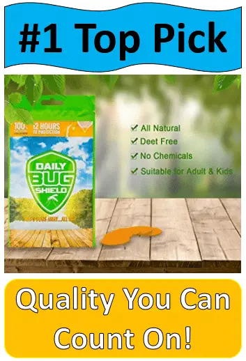 Best Mosquito Patches Reviewed: Which Ones Keep the Bloodsuckers off ...