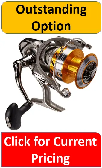 Best Open Face Fishing Reels for 2022 – OutdoorMeta