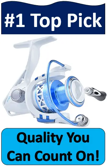 Best Open Face Fishing Reels for 2022 – OutdoorMeta