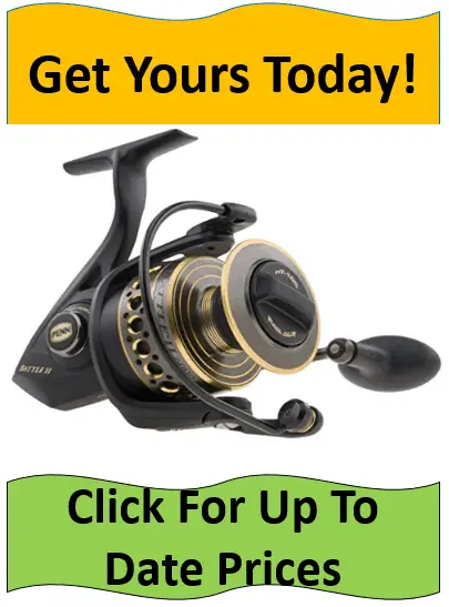 Best Open Face Fishing Reels for 2022 – OutdoorMeta