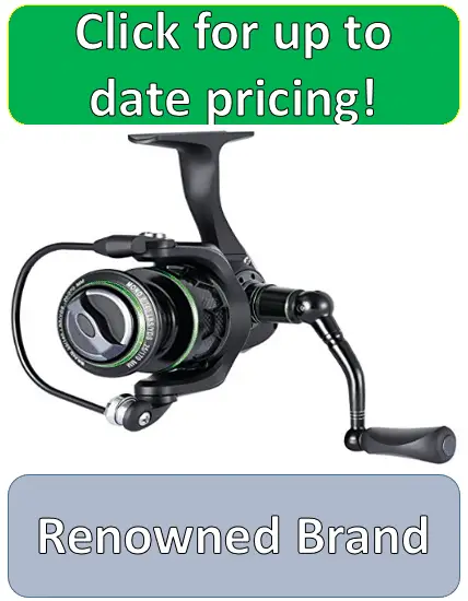 Best Open Face Fishing Reels for 2022 – OutdoorMeta