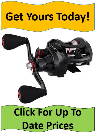 Best Open Face Fishing Reels for 2022 – OutdoorMeta